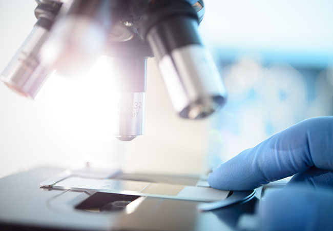 Production Base - SinoMab BioScience Limited